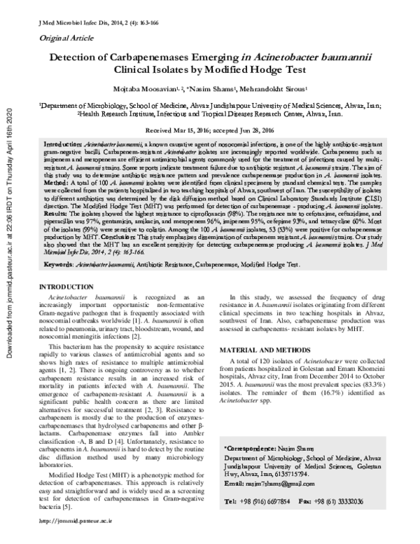 (PDF) Detection of Carbapenemases Emerging in Acinetobacter baumannii ...