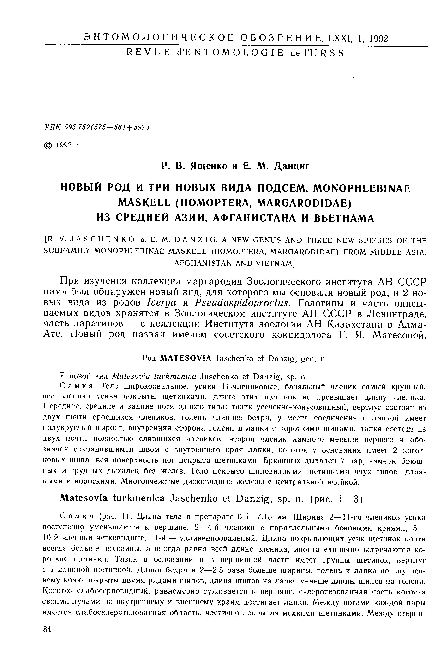 (PDF) New genus and three new species of subfamily Monophlebinae ...