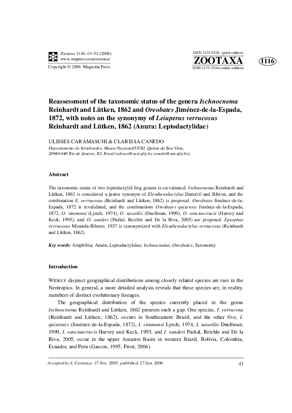 (PDF) Taxonomic status of the genera Ischnocnema and Oreobates, with ...