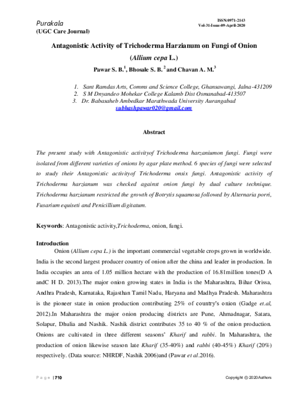 (PDF) Antagonistic Activity of Trichoderma Harzianum on Fungi of Onion (Allium cepa L