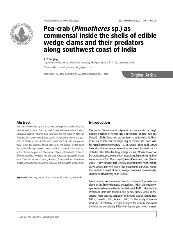 (PDF) Pea-crab (Pinnotheres sp.) as commensal inside the shells of ...