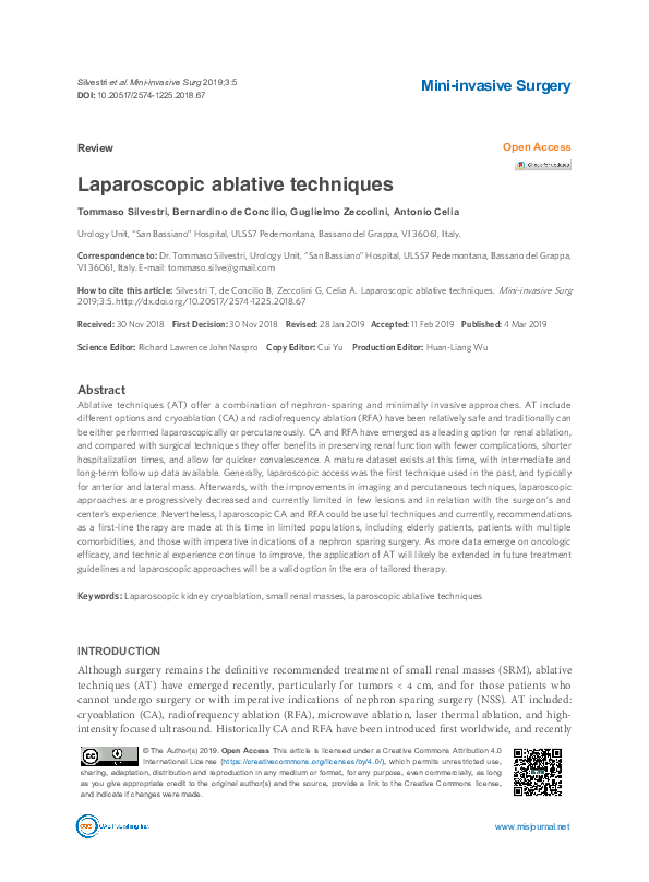 (PDF) Laparoscopic ablative techniques