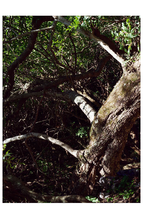 (PDF) "The Adouaba Project": Tranquilos, Adwaba and Moving Spaces