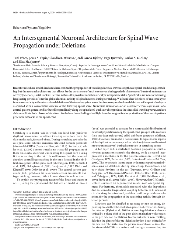 (PDF) An Intersegmental Neuronal Architecture for Spinal Wave Propagation under Deletions