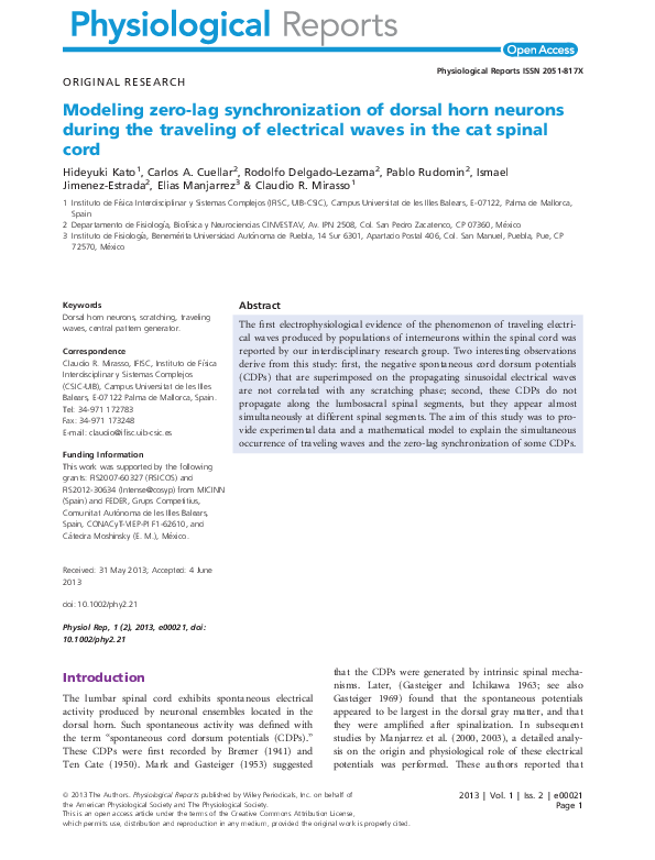Pdf Modeling Of Spontaneous Zero Lag Synchronization And Wave