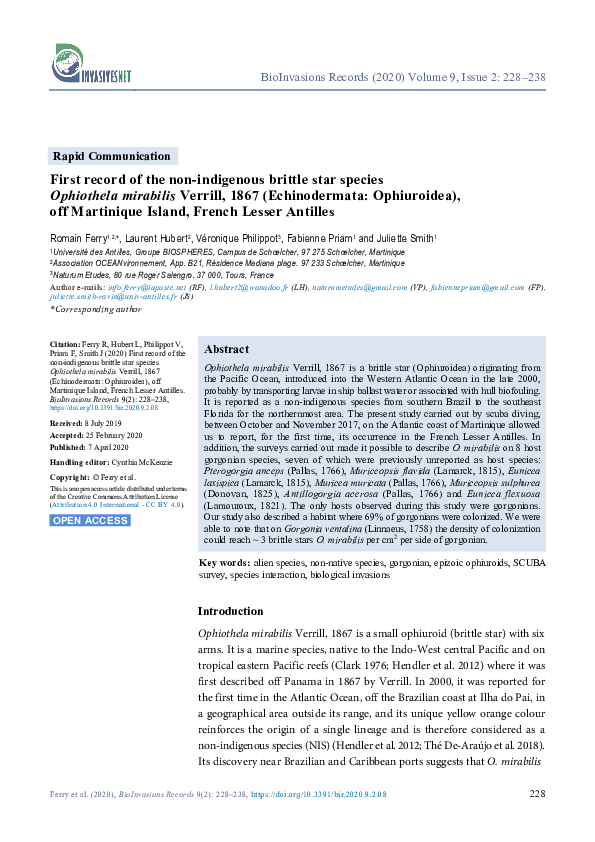 (PDF) First record of the non-indigenous brittle star species ...