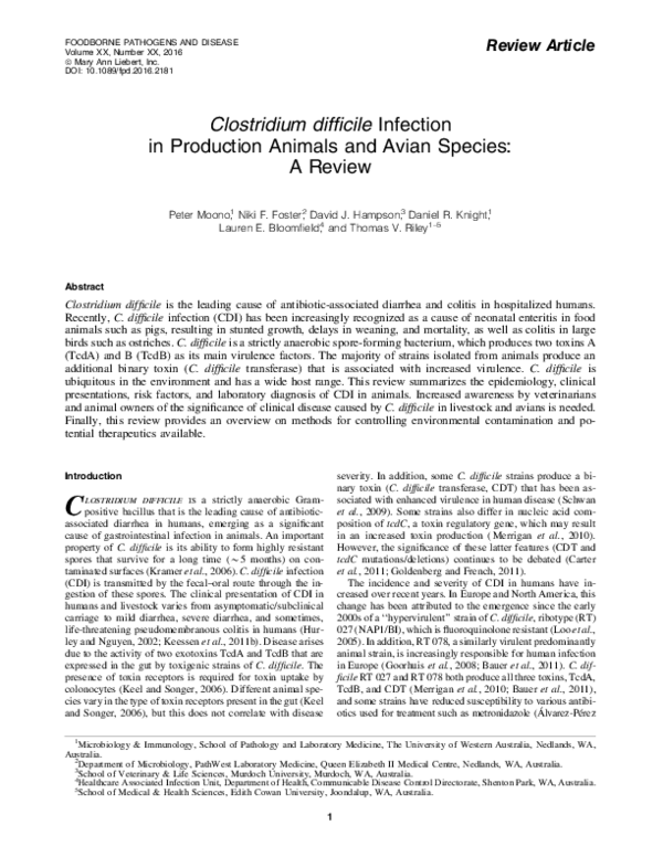 (PDF) Clostridium difficile Infection in Production Animals and Avian ...