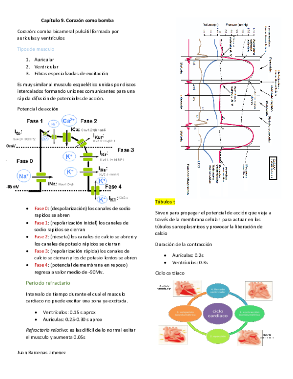 (PDF) Capítulo 9 guyton