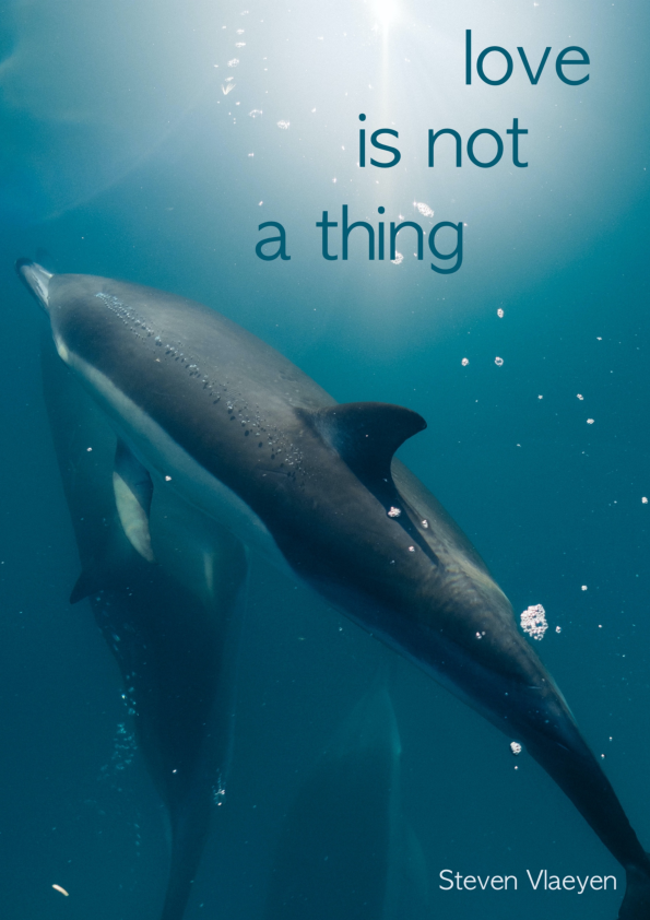 (PDF) love is not a thing