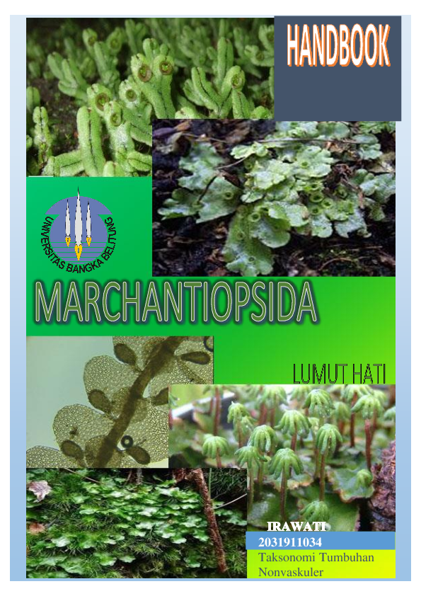 (PDF) Handbook marchantiopsida