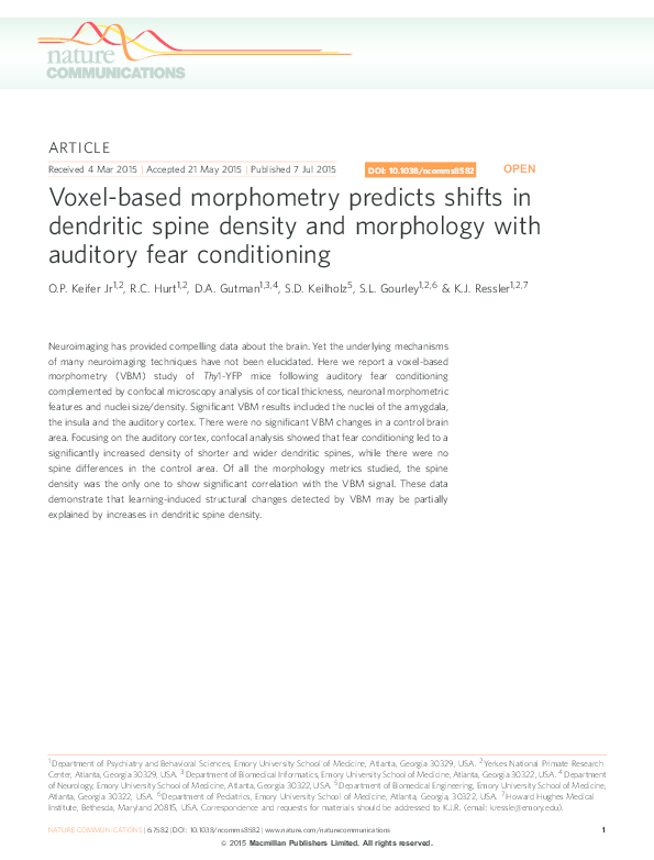 (PDF) ARTICLE Voxel-based morphometry predicts shifts in dendritic spine density and morphology ...