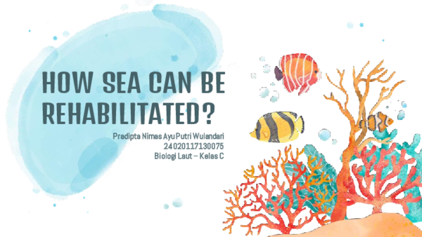 (PDF) PPT BIOLOGI LAUT "HOW SEA CAN BE REHABILITATED"