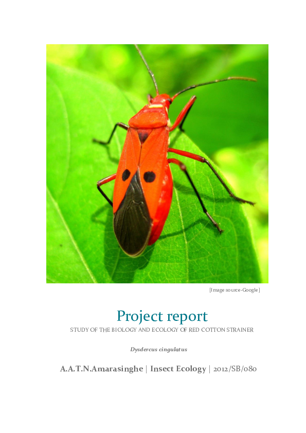 (PDF) Project report STUDY OF THE BIOLOGY AND ECOLOGY OF RED COTTON ...