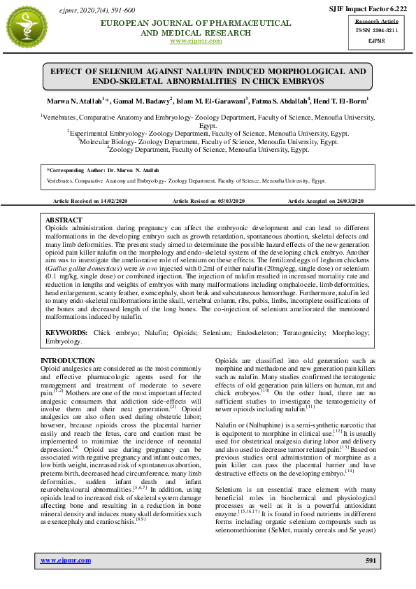 (PDF) EFFECT OF SELENIUM AGAINST NALUFIN INDUCED MORPHOLOGICAL AND ENDO ...