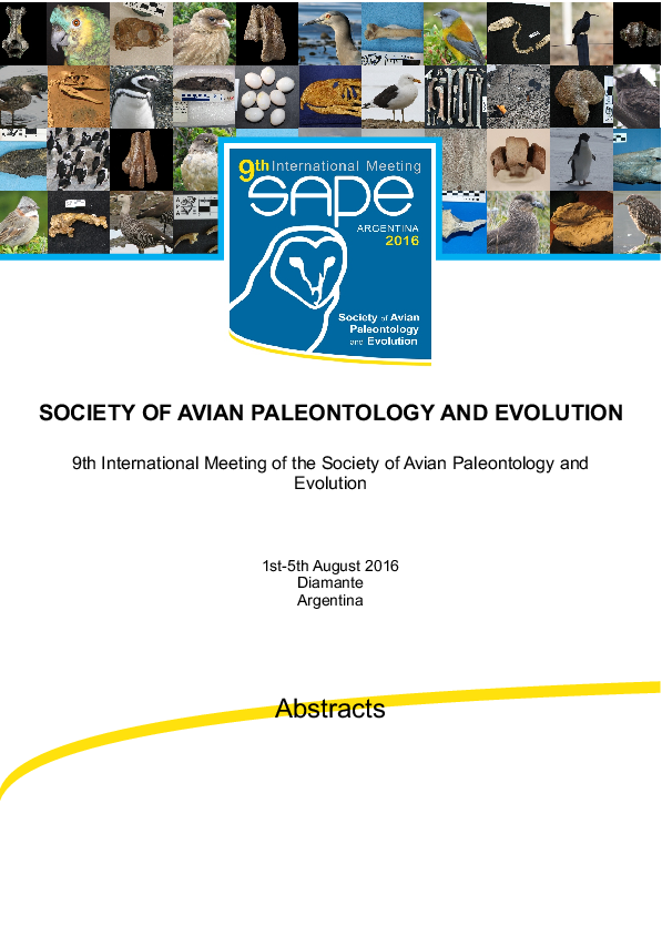 (PDF) A PHYLOGENETIC PERSPECTIVE ON BIOME OCCUP A TION BY BIRDS ...