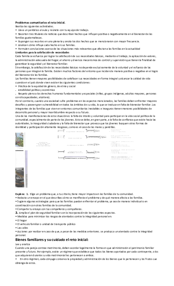 (DOC) Problemas comunitarios el reto inicial