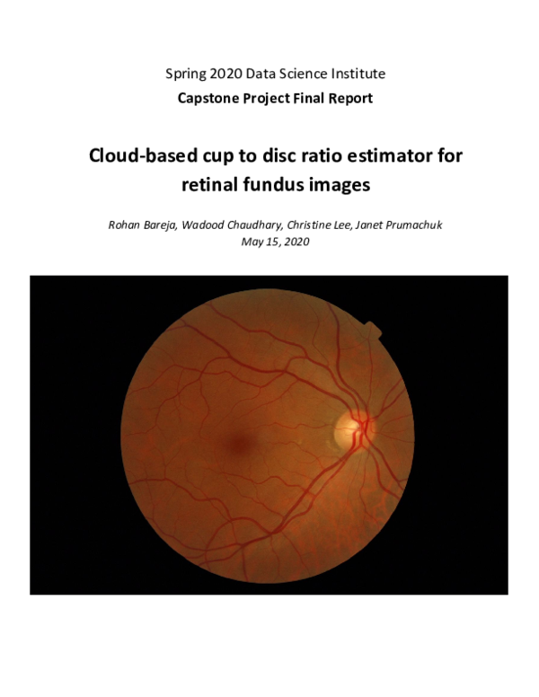 (PDF) Calculating Disc and Cup ratio (CDR) from Retinal funds Images