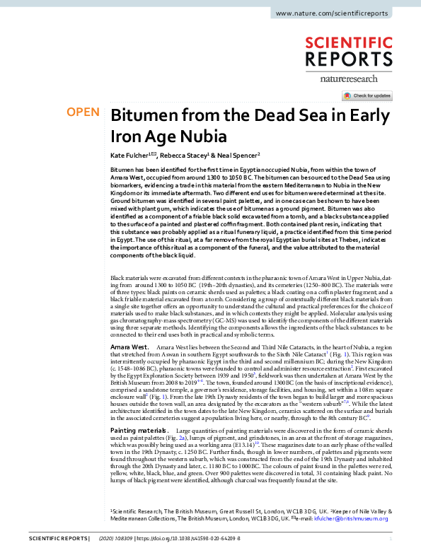 (PDF) Bitumen from the Dead Sea in early iron Age nubia