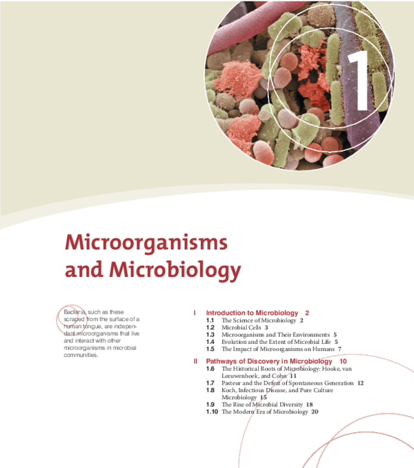 (PDF) Microorganisms and Microbiology