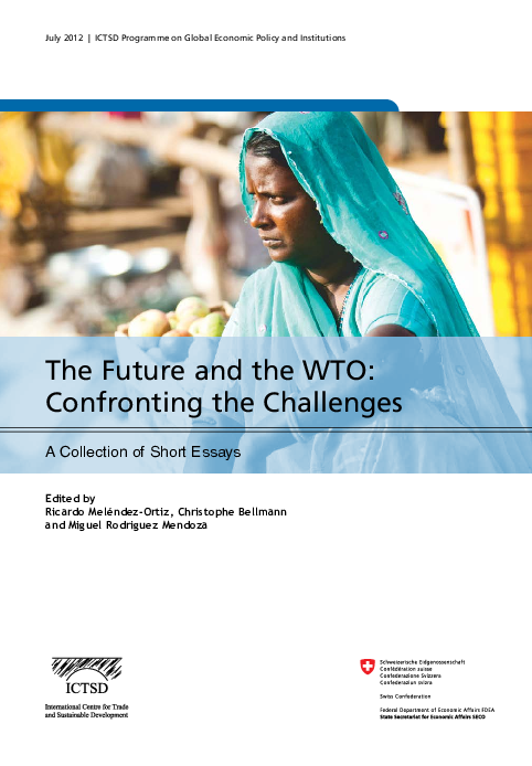(PDF) The Future and the WTO: Confronting the Challenges