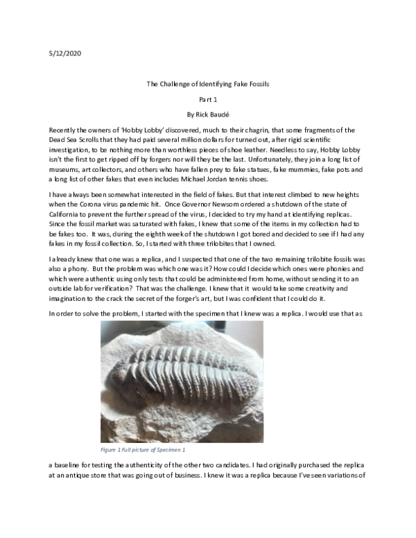 (PDF) The Challenge of Identifying Fake Fossils Part 1