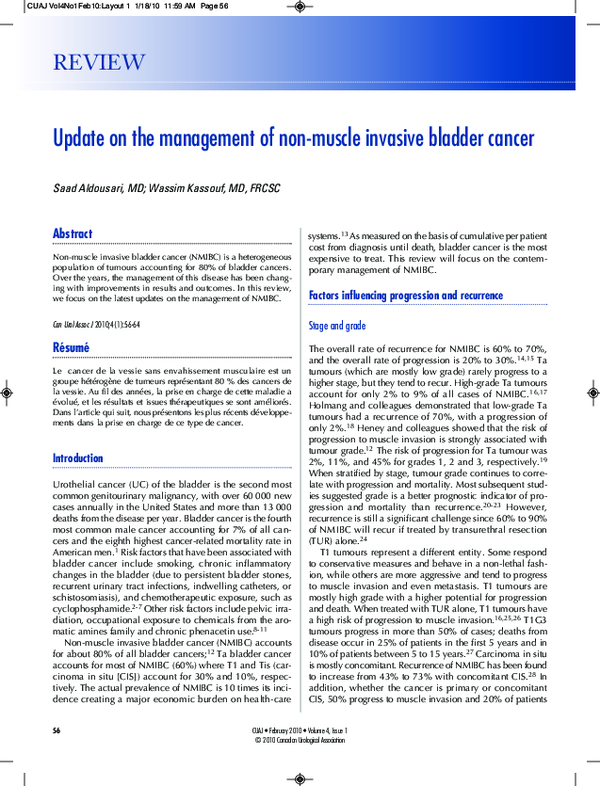 (PDF) Latest Advances in Non-Muscle Invasive Bladder Cancer