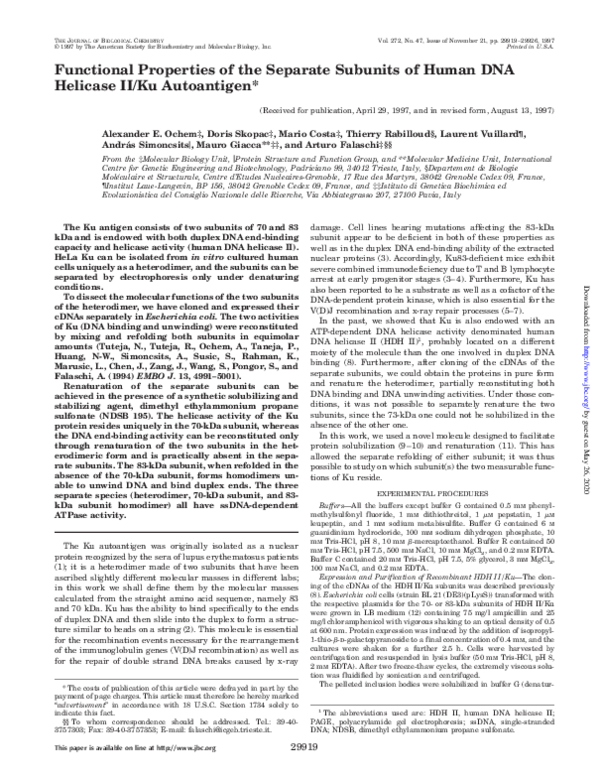 (PDF) Functional Properties of the Separate Subunits of Human DNA ...
