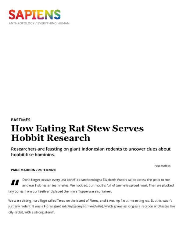 (PDF) Eating Rat Stew for Hobbit Research