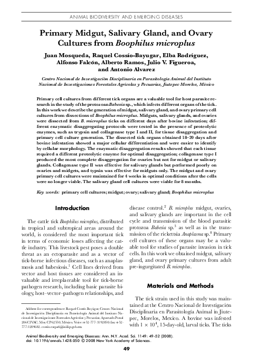 (PDF) ANIMAL BIODIVERSITY AND EMERGING DISEASES Primary Midgut, Salivary Gland, and Ovary ...