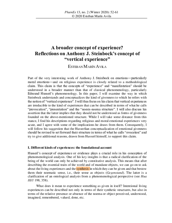 (PDF) A broader concept of experience? Reflections on Anthony J ...