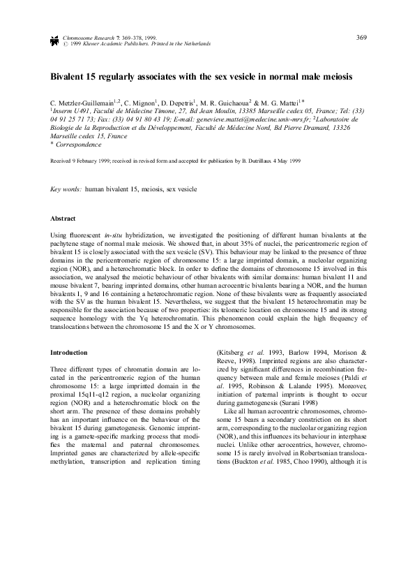 Pdf Bivalent 15 Regularly Associates With The Sex Vesicle In Normal