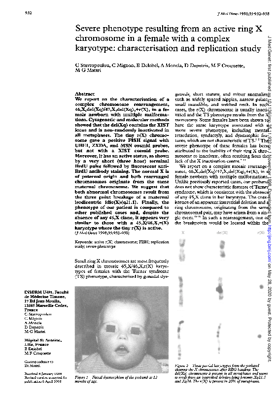 (PDF) The X chromosome: does it have a role in Bloom syndrome, a ...