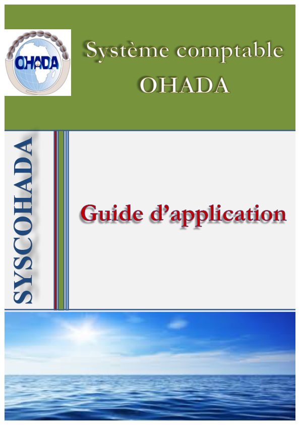 (PDF) Guide d application du SYSCOHADA