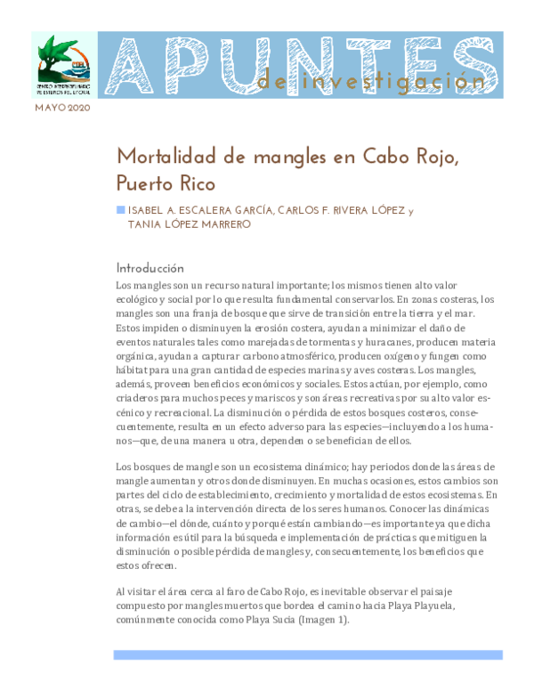 (PDF) Mortalidad de mangles en Cabo Rojo, Puerto Rico