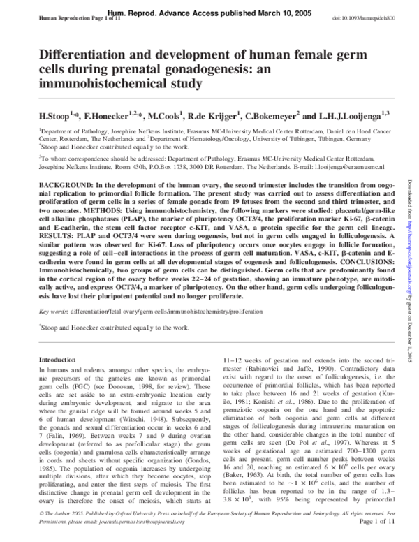 (PDF) Differentiation and development of human female germ cells during ...