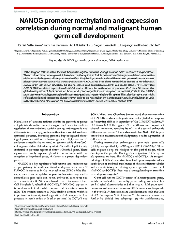 (PDF) NANOG promoter methylation and expression correlation during ...