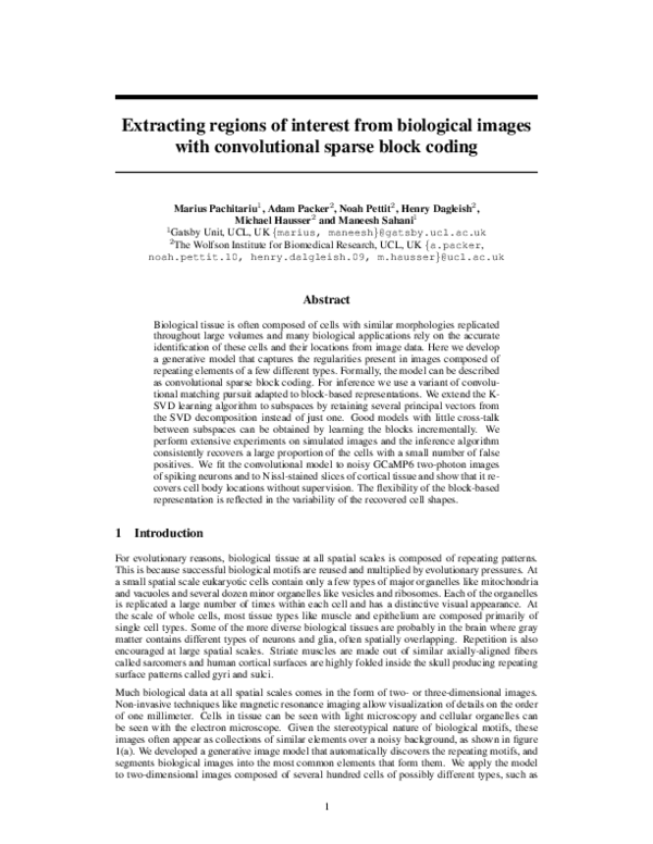 (PDF) Extracting regions of interest from biological images with convolutional sparse block coding