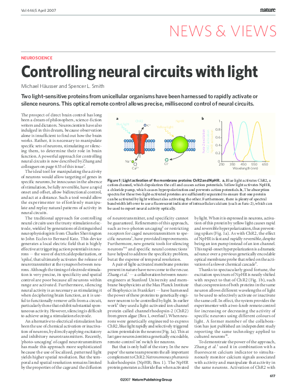 (PDF) Neuroscience: Controlling neural circuits with light | Michael ...