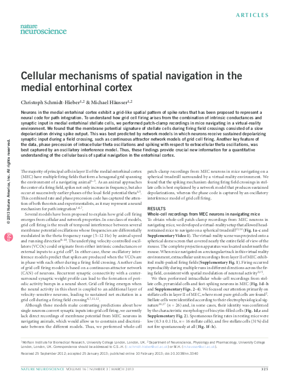 (PDF) Cellular mechanisms of spatial navigation in the medial entorhinal cortex