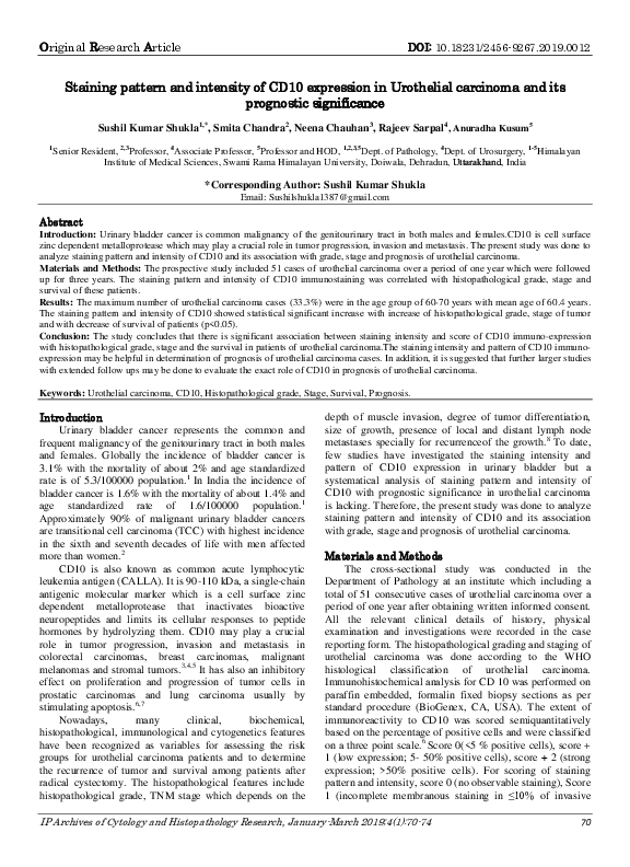 (PDF) Staining pattern and intensity of CD10 expression in Urothelial ...