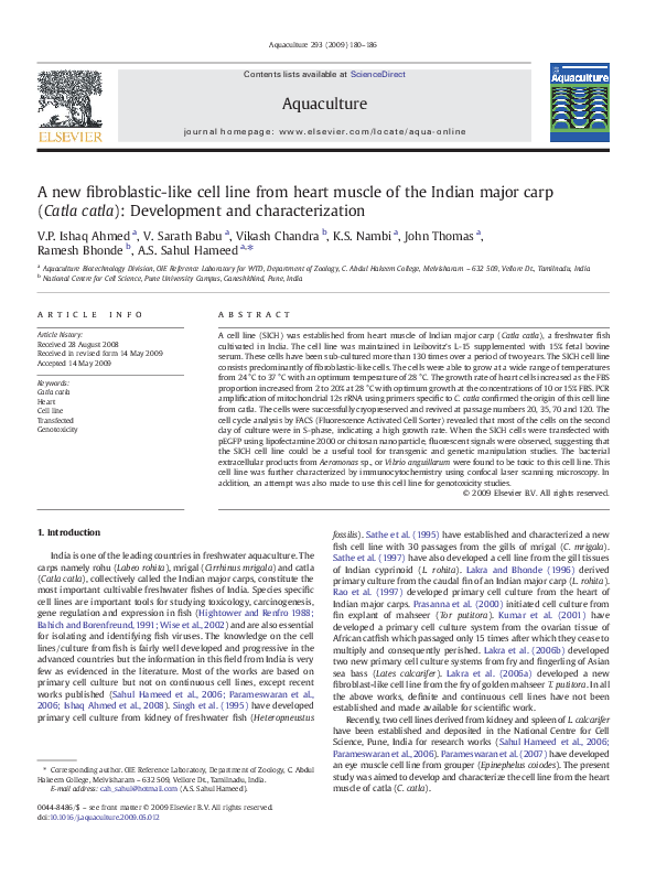 (PDF) A new fibroblastic-like cell line from heart muscle of the Indian ...