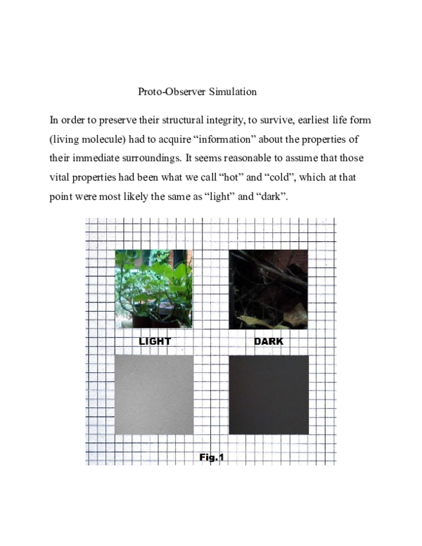 (PDF) Proto-Observer Simulation | Gregor Mobius - Academia.edu