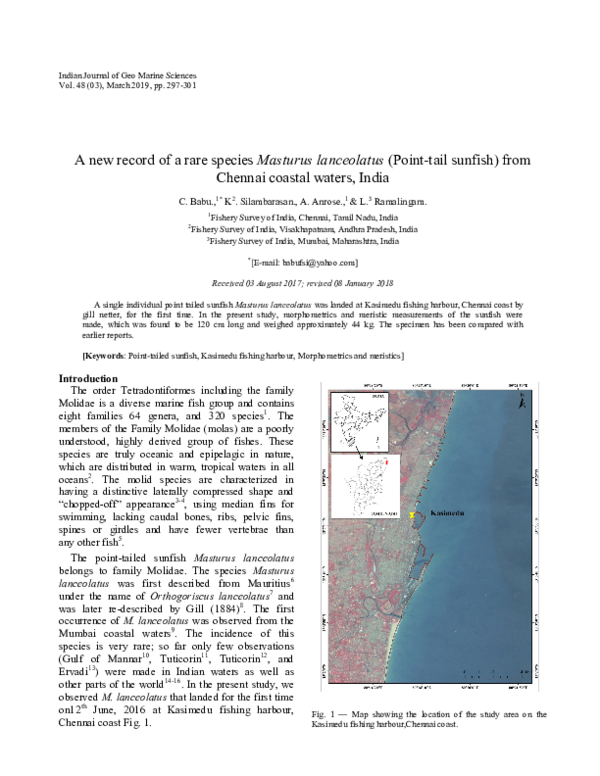 (PDF) A new record of a rare species Masturus lanceolatus (Point-tail ...
