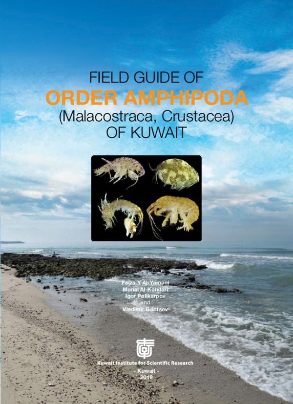 (PDF) FIELD GUIDE OF ORDER AMPHIPODA (Malacostraca, Crustacea) OF ...