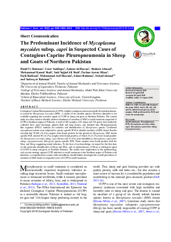 (PDF) Experimental contagious caprine pleuropneumonia: a long term ...