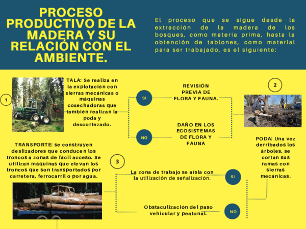 (PDF) PROCESO PRODUCTIVO DE MADERA
