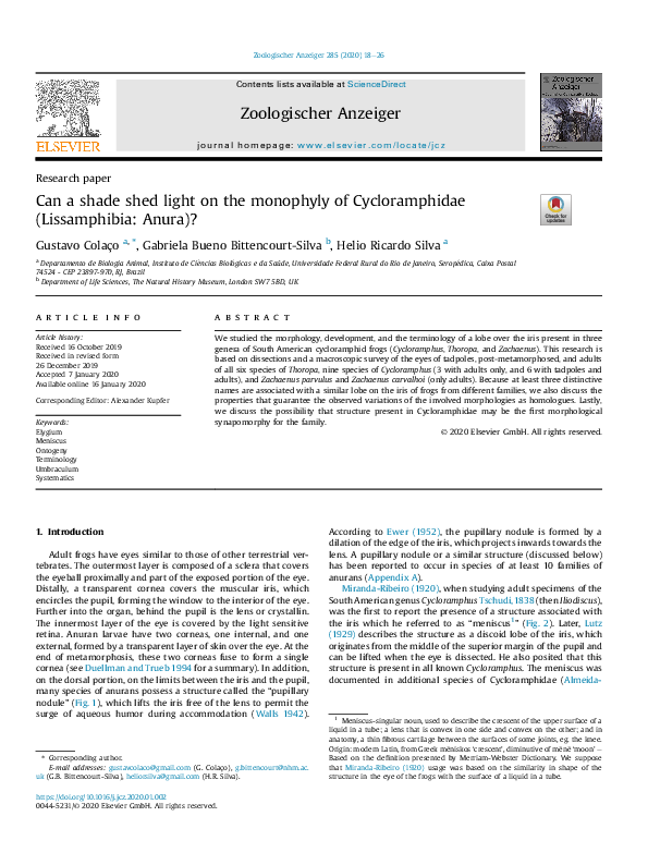 (PDF) Iris Lobe Morphology in Cycloramphidae Frogs