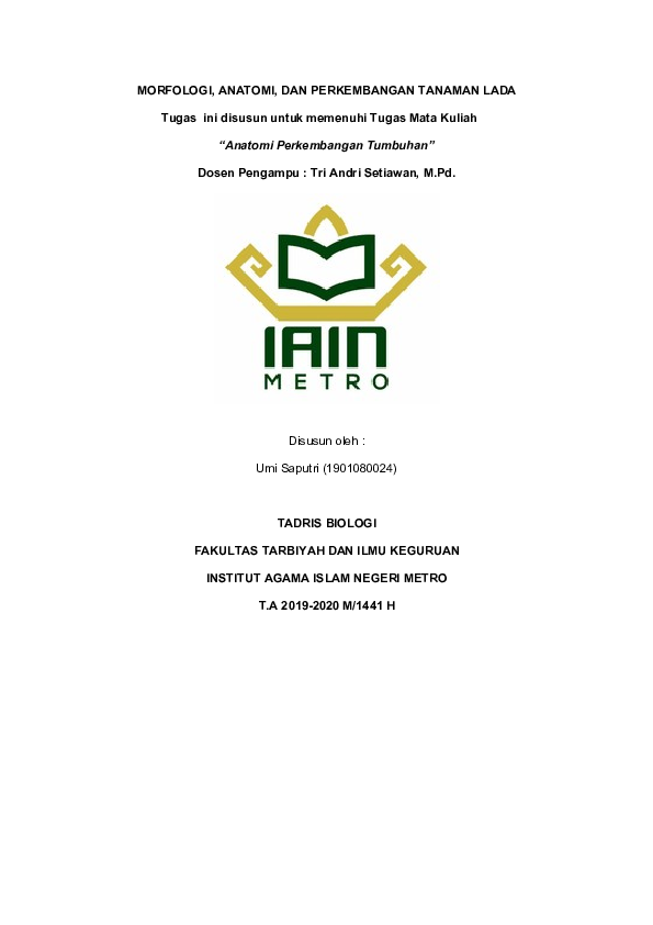 (DOC) MORFOLOGI, ANATOMI, DAN PERKEMBANGAN TANAMAN LADA.