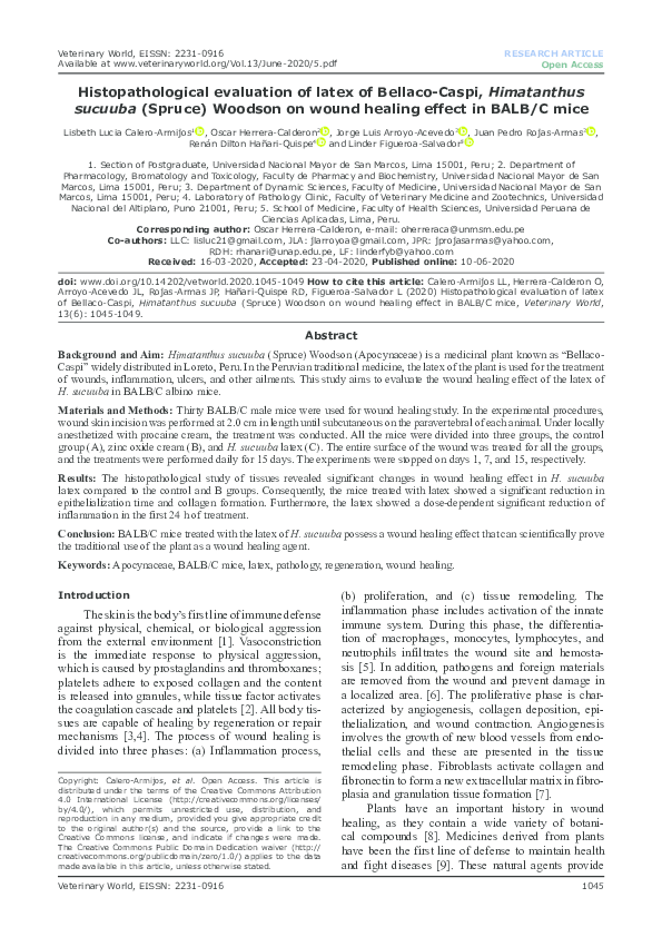 (PDF) Histopathological evaluation of latex of Bellaco-Caspi ...