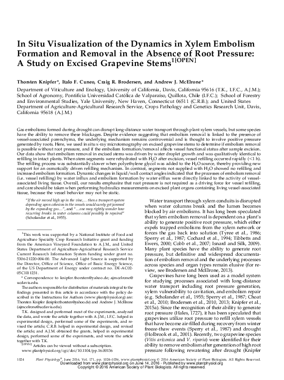 (PDF) In Situ Visualization of the Dynamics in Xylem Embolism Formation ...